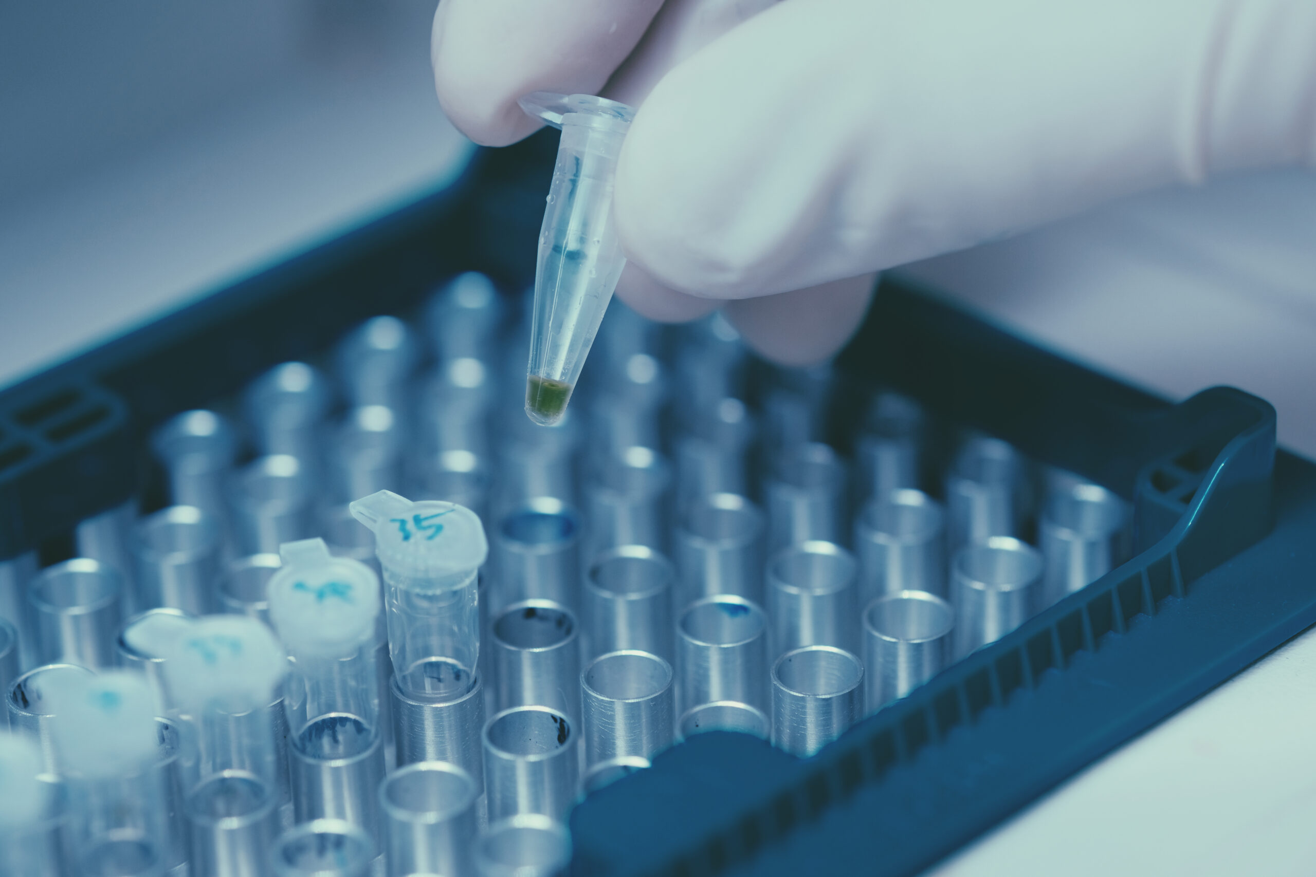 Real-Time PCR Genotyping - GenoTyping Center of America