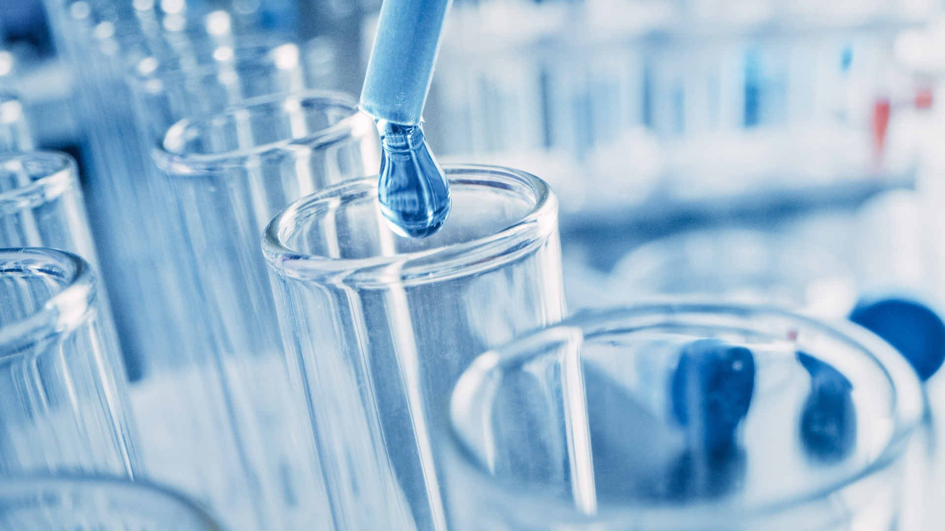 Zebrafish Genotyping - GenoTyping Center of America