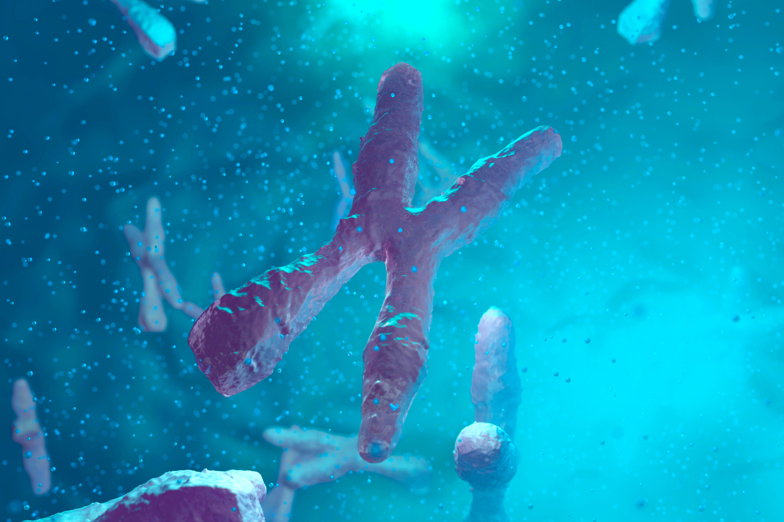 2026 Holiday Schedule - GenoTyping Center of America