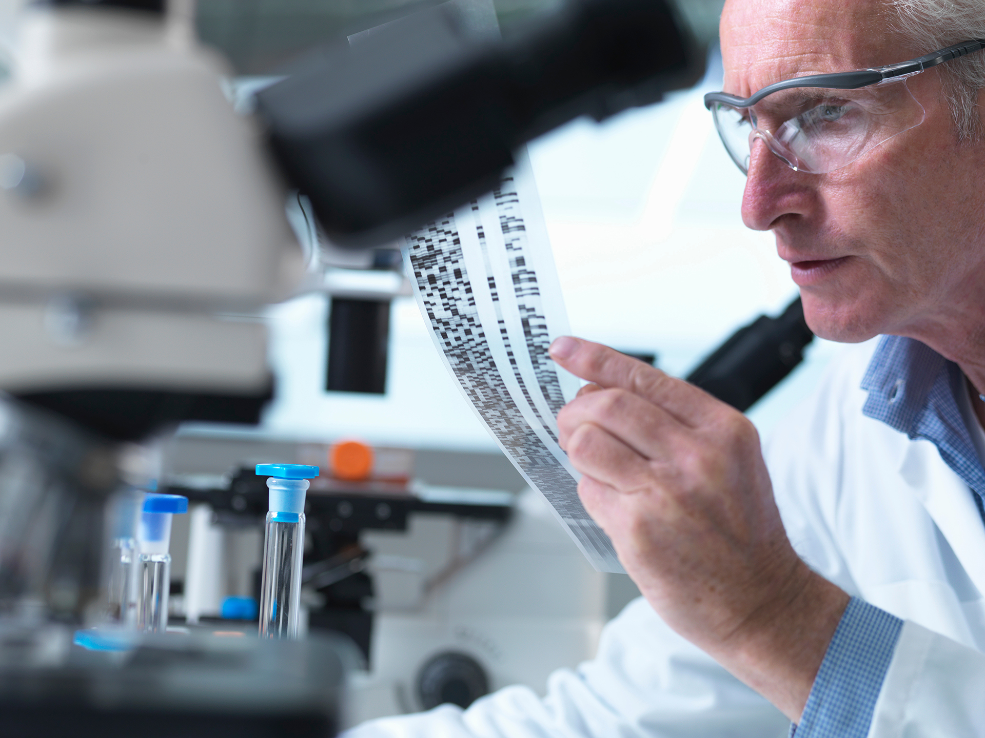 Transgene Zygosity Testing - GenoTyping Center of America