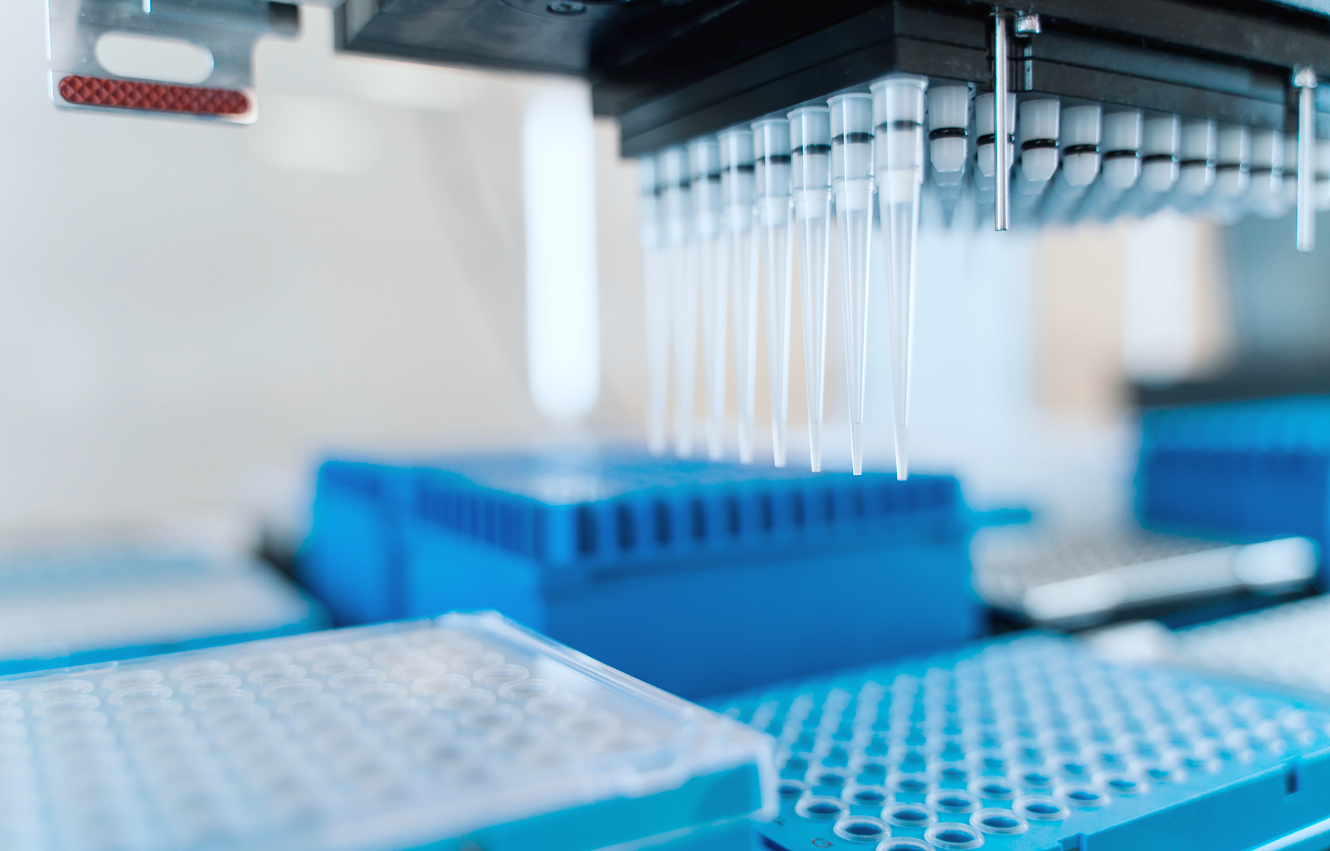 Non-Invasive Genotyping - GenoTyping Center of America